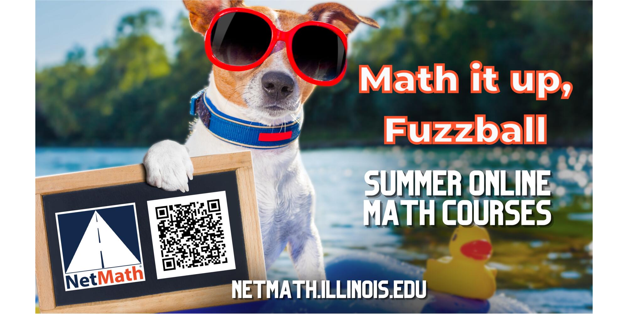 NetMath at Illinois